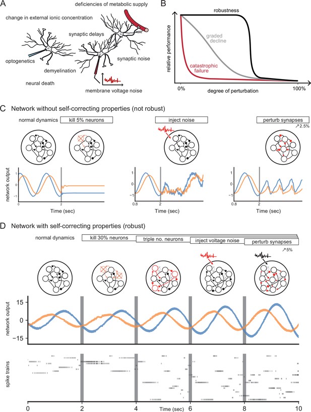 The Geometry Of Robustness In Spiking Neural Networks Elife