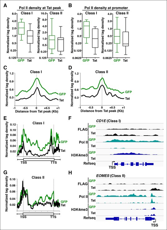 HIV Tat controls RNA Polymerase II and the epigenetic landscape to ... HIV Tat controls RNA Polymerase II and the epigenetic landscape to ...