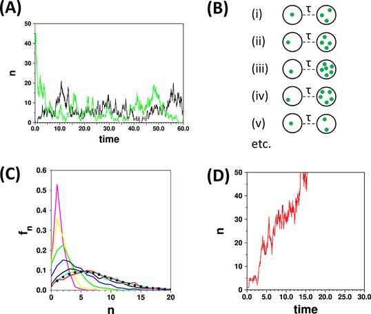Evaluation Of Predictions Of The Stochastic Model Of Organelle