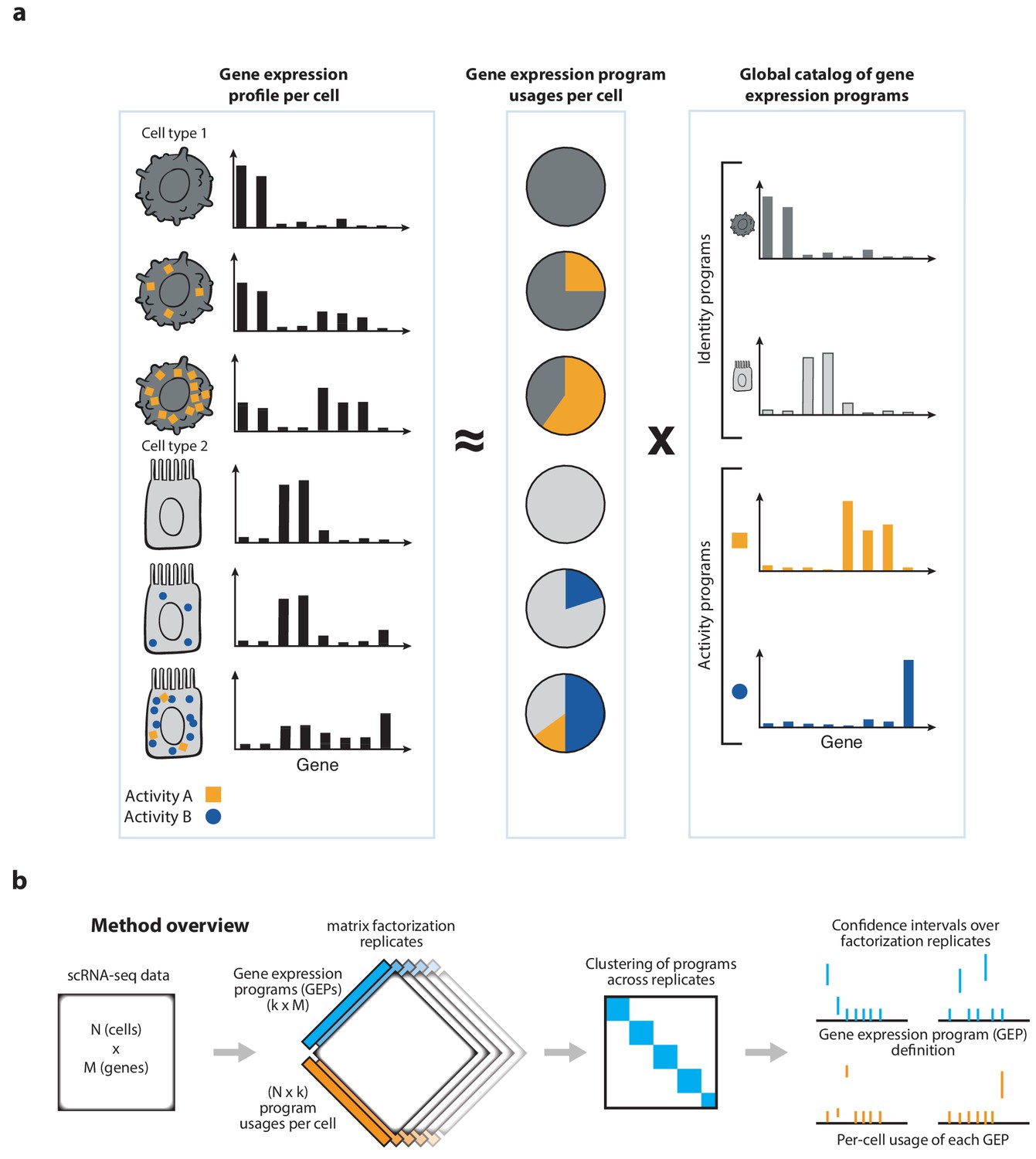 Identifying Gene Expression Programs Of Cell Type Identity And Cellular
