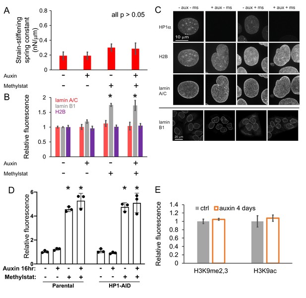 Figures And Data In Hp1α Is A Chromatin Crosslinker That Controls
