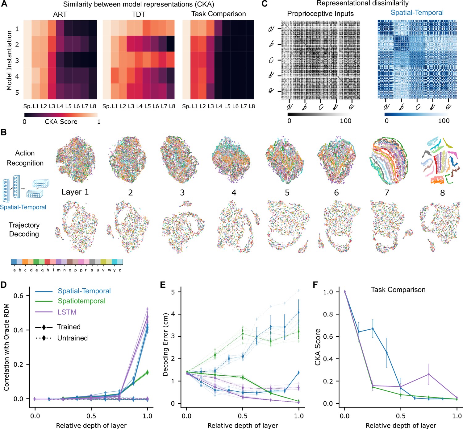Contrasting Action And Posture Coding With Hierarchical Deep Neural Network Models Of
