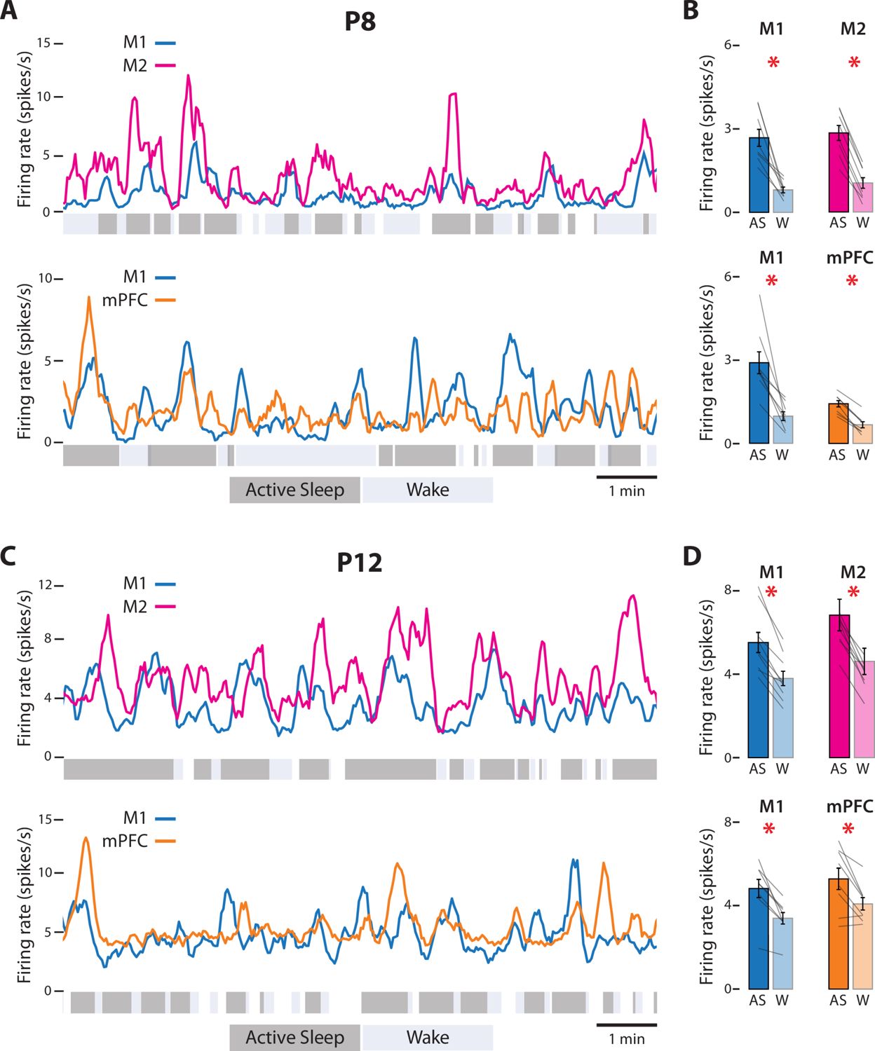 Activity in developing prefrontal cortex is shaped by sleep and sensory ...