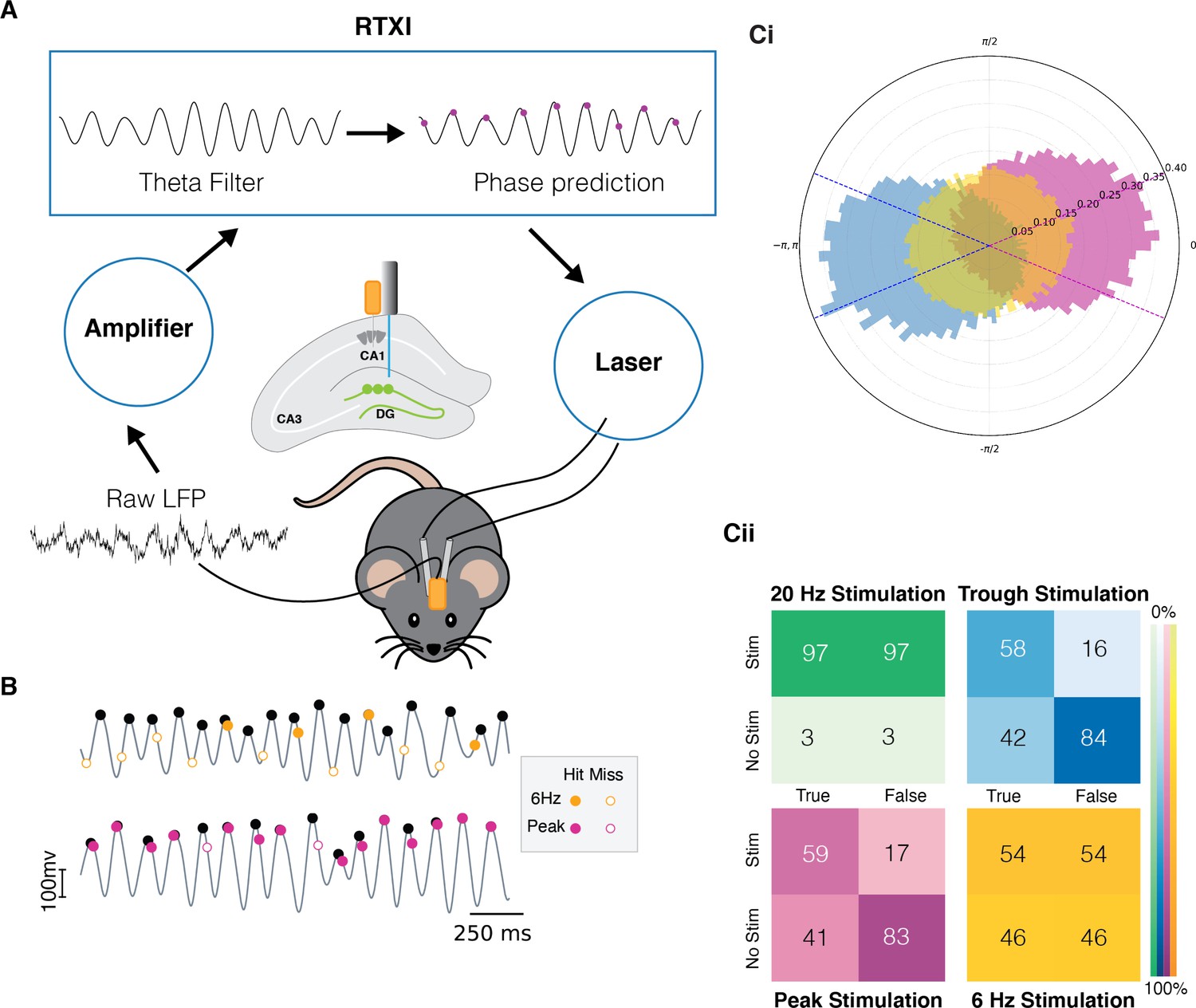 Theta Phase Specific Modulation Of Dentate Gyrus Memory Neurons Elife