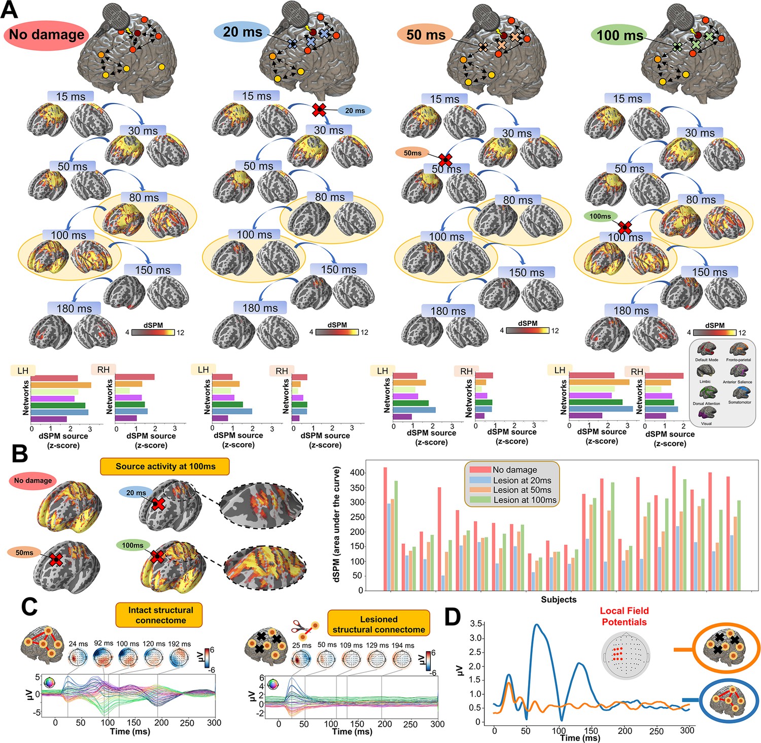 Figures and data in TMS-evoked responses are driven by recurrent large ... Figures and data in TMS-evoked responses are driven by recurrent large ...