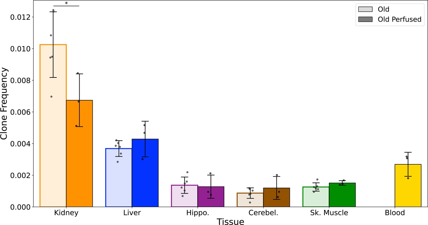 Figures And Data In The Multi Tissue Landscape Of Somatic Mtdna