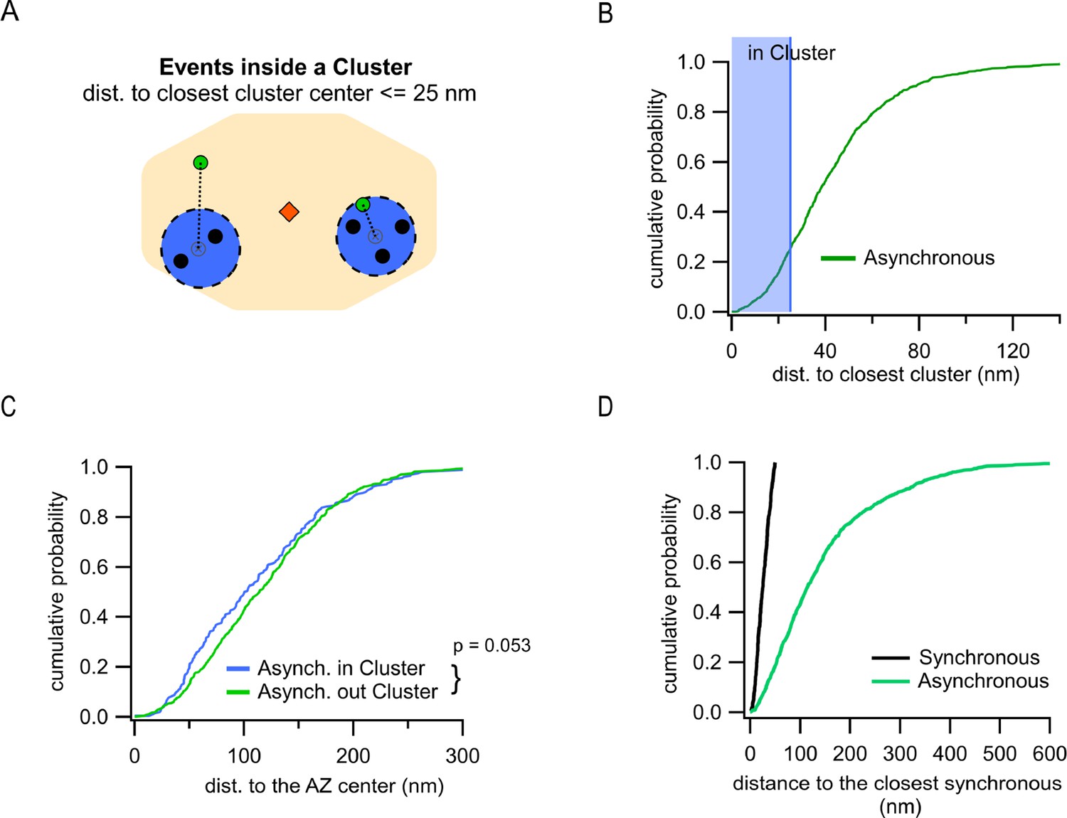 Two Forms Of Asynchronous Release With Distinctive Spatiotemporal Dynamics In Central Synapses 