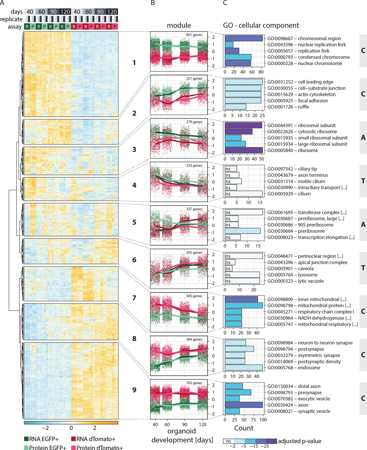 Integrated Transcriptome And Proteome Analysis Reveals