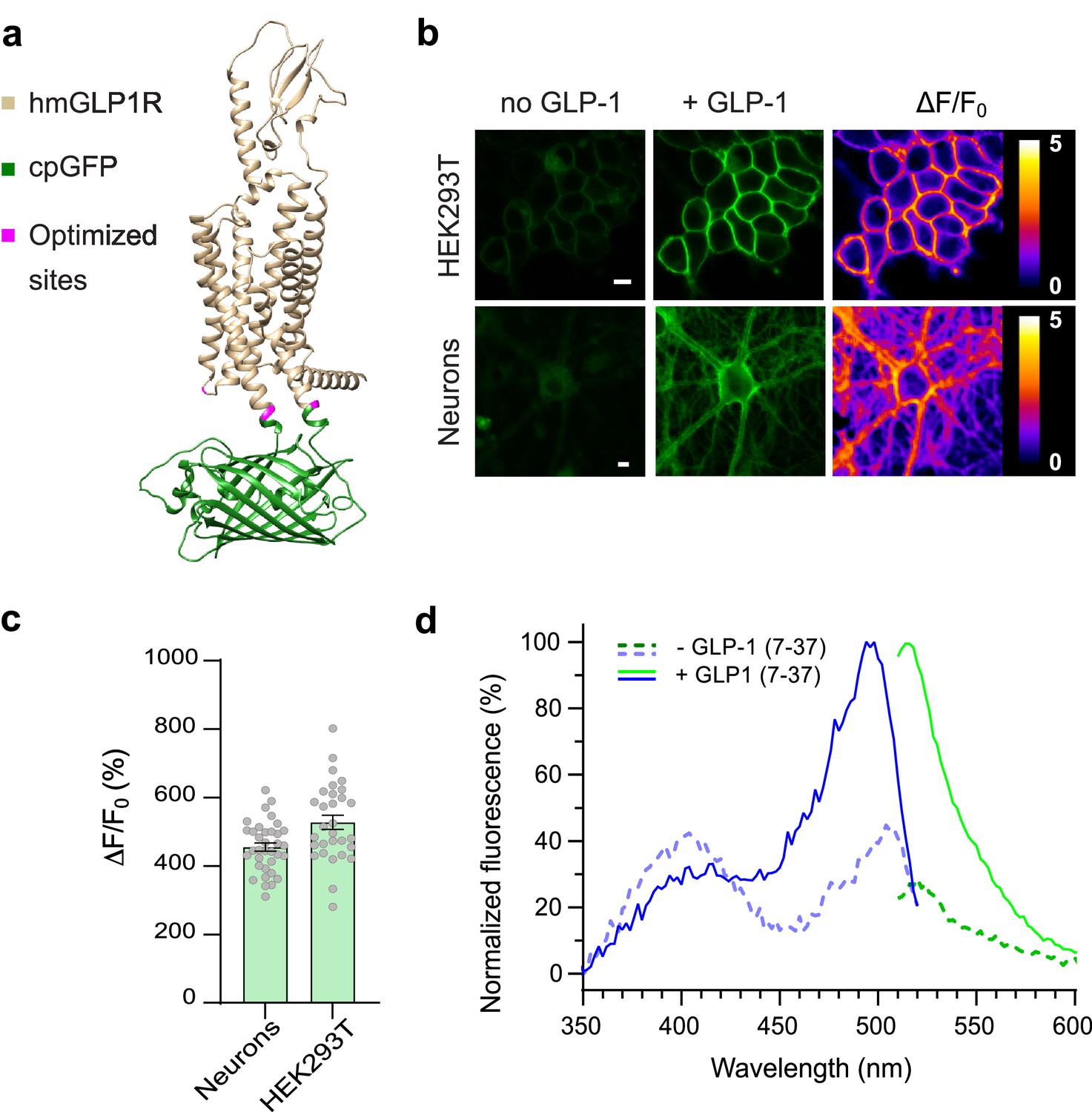 Figures And Data In Optical Tools For Visualizing And Controlling Human