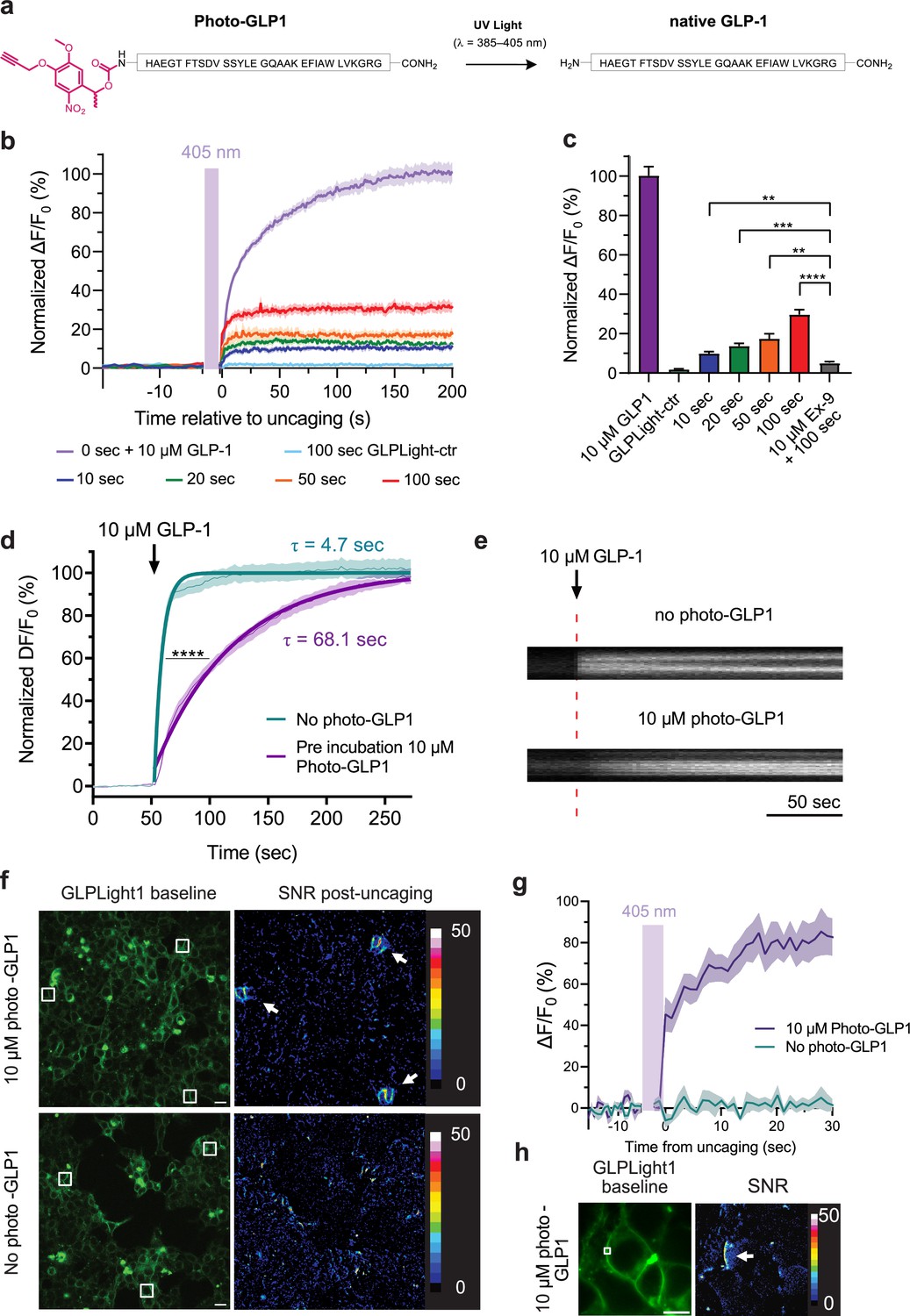 Optical Tools For Visualizing And Controlling Human Glp 1 Receptor
