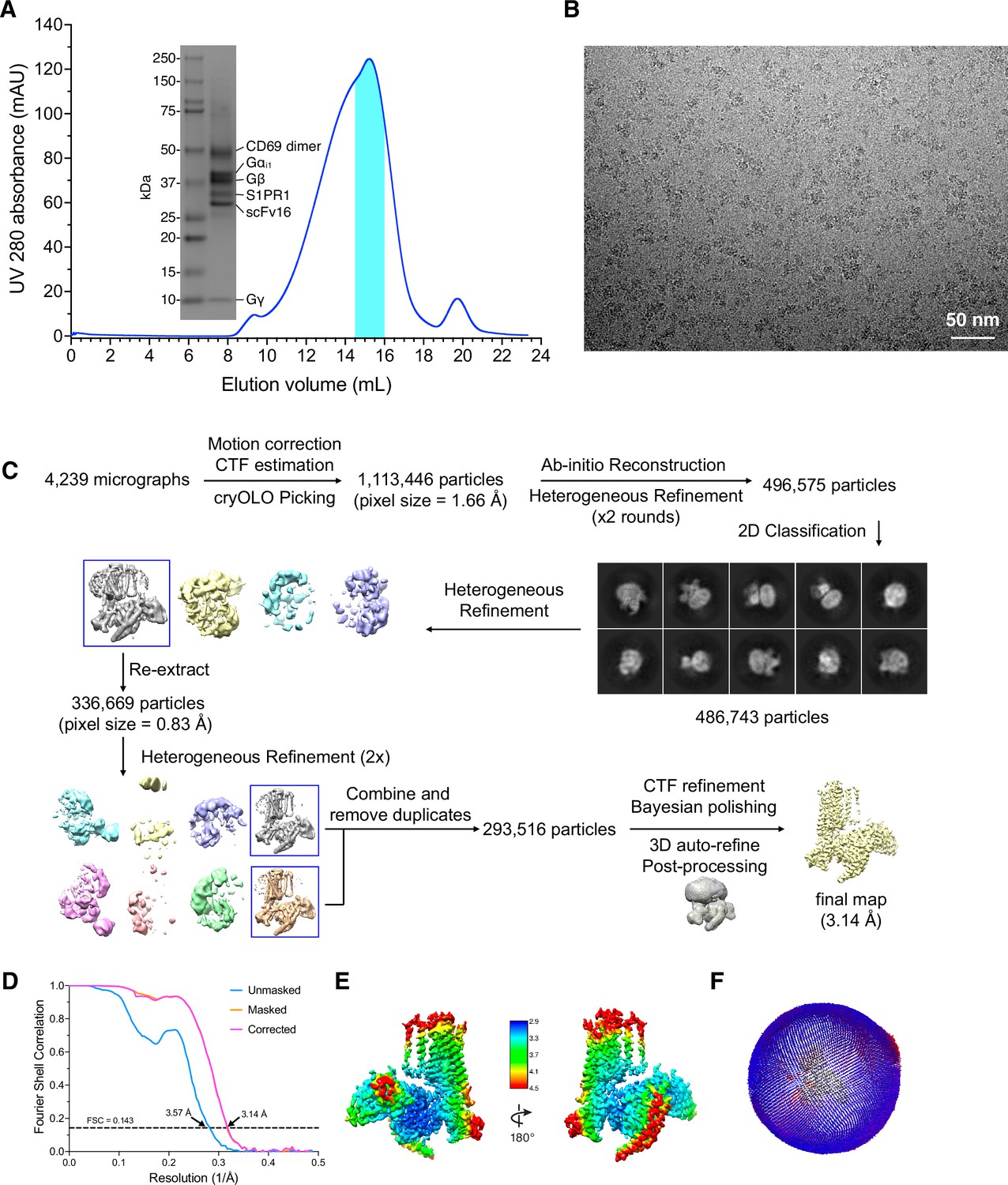 Figures And Data In Transmembrane Protein Cd69 Acts As An S1pr1 Agonist