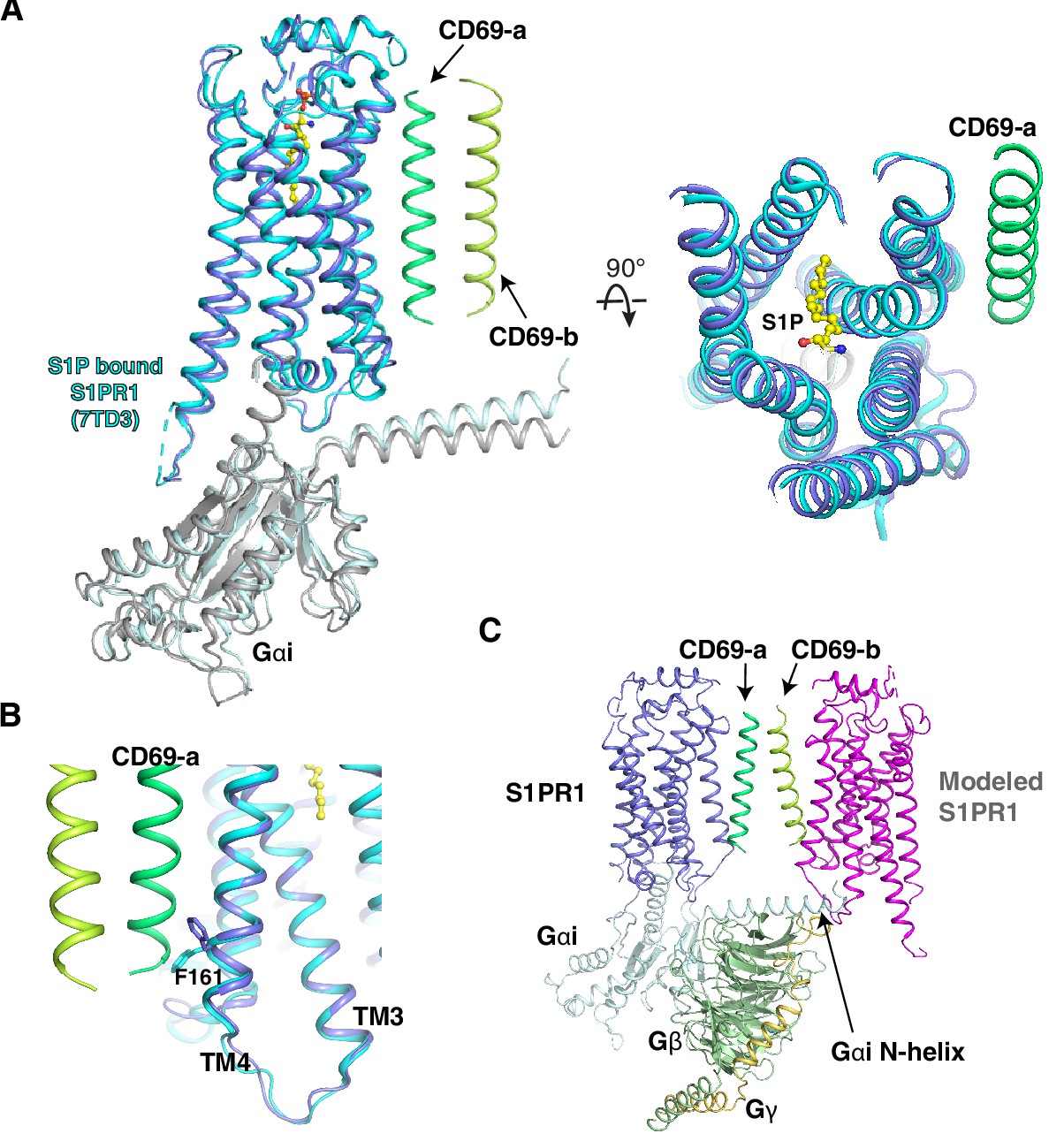 Figures And Data In Transmembrane Protein Cd69 Acts As An S1pr1 Agonist